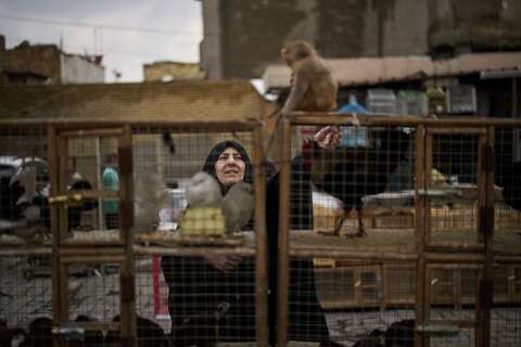 Photos show daily life in Iraq's Basra near Iranian border as war slows ...