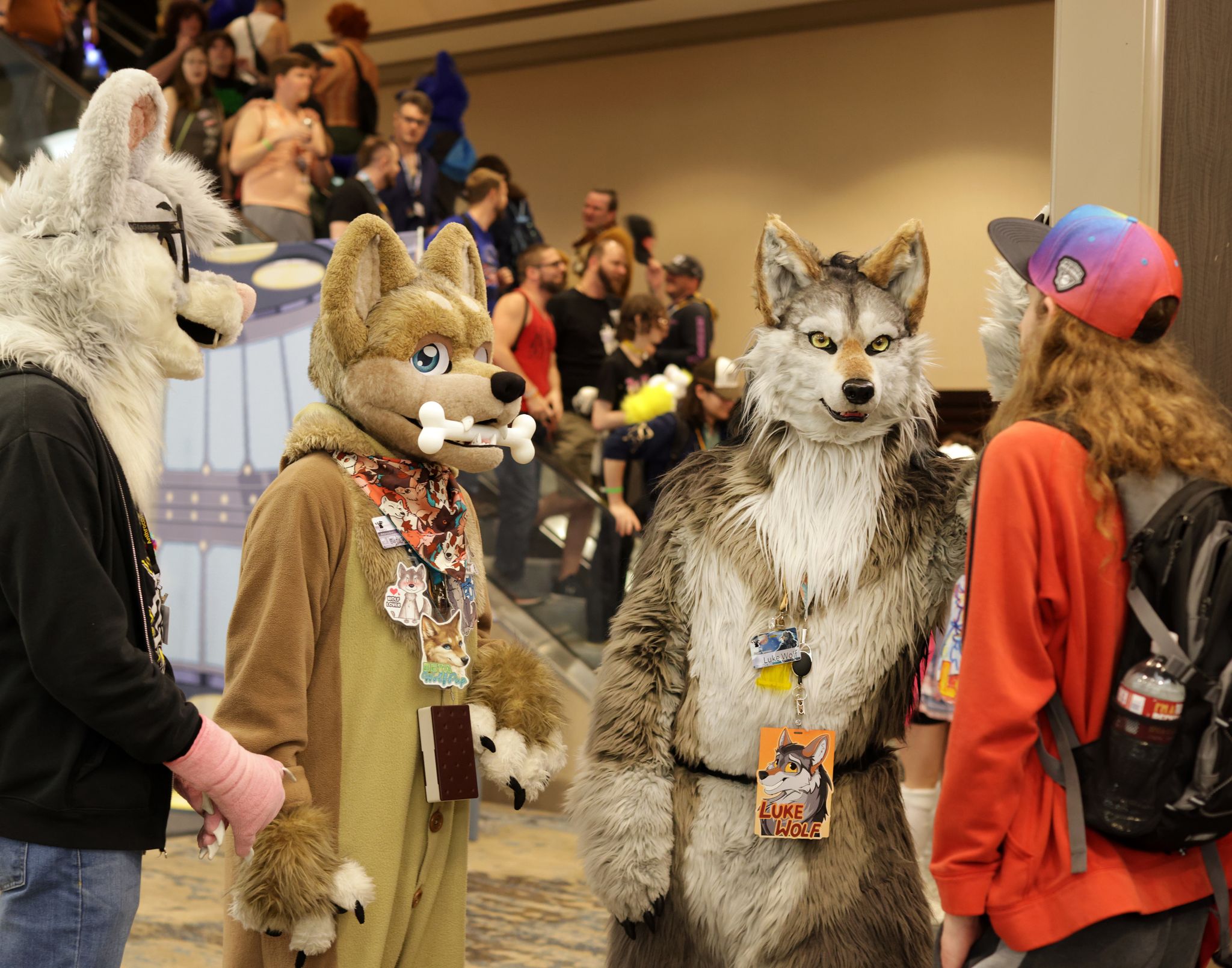 Dallas hosts furry convention, drawing thousands of attendees
