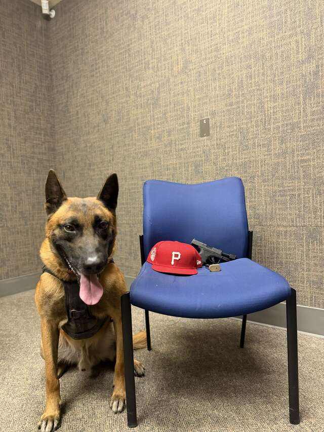 Santa Rosa: Traffic Stop Ends In Arrests Of 2 Men With Alleged Gang ...