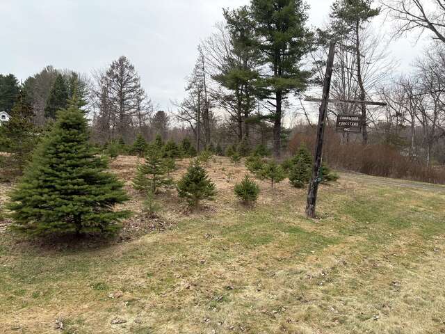 Middlefield rejects 984-panel solar project on industrial site