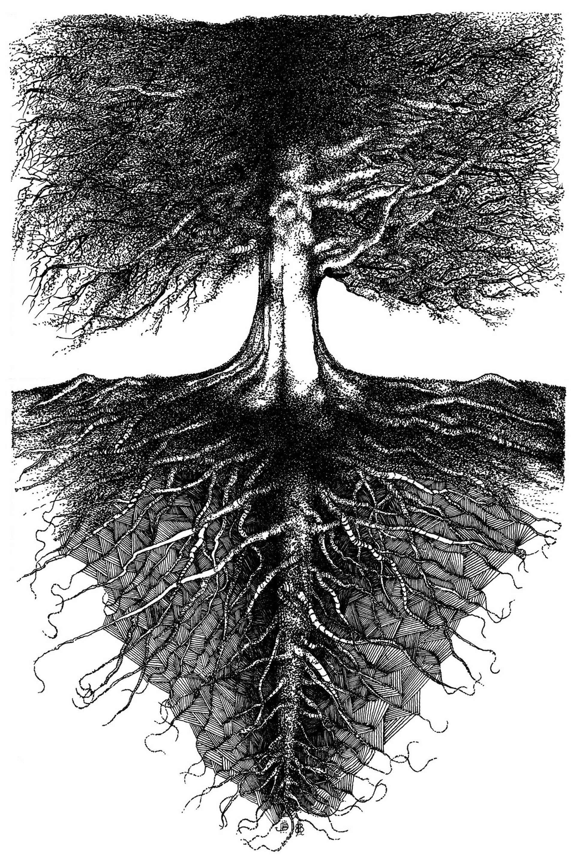 Folk musician Ben Bedford's pen-and-ink drawings in Strawn spotlight