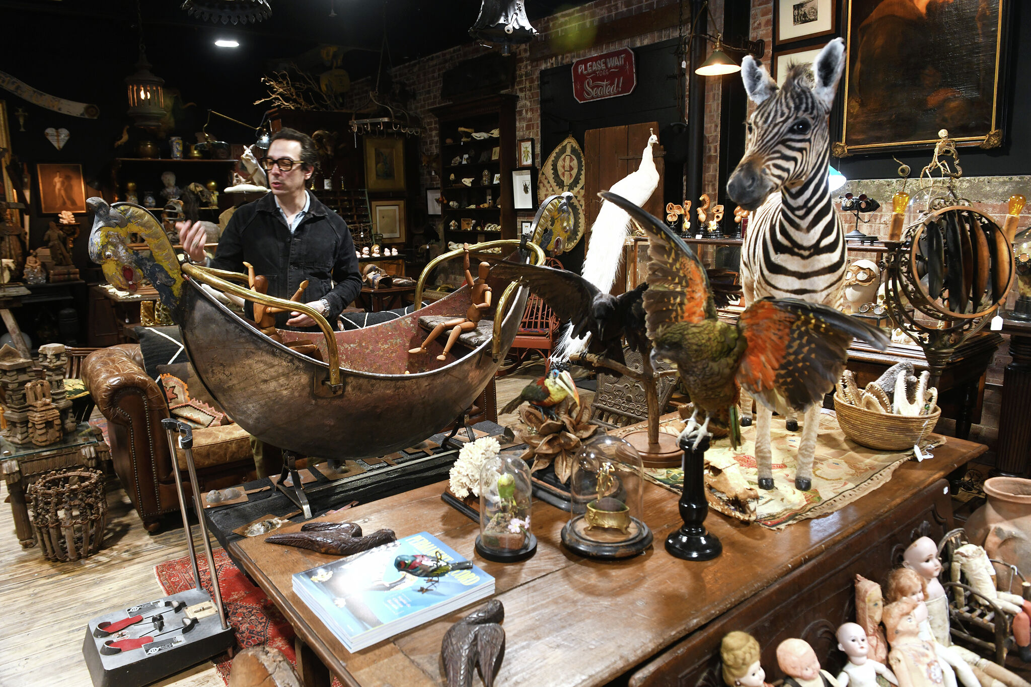 Cvrated Oddities Shop Opens In Bridgeport By ‘oddities Co Host