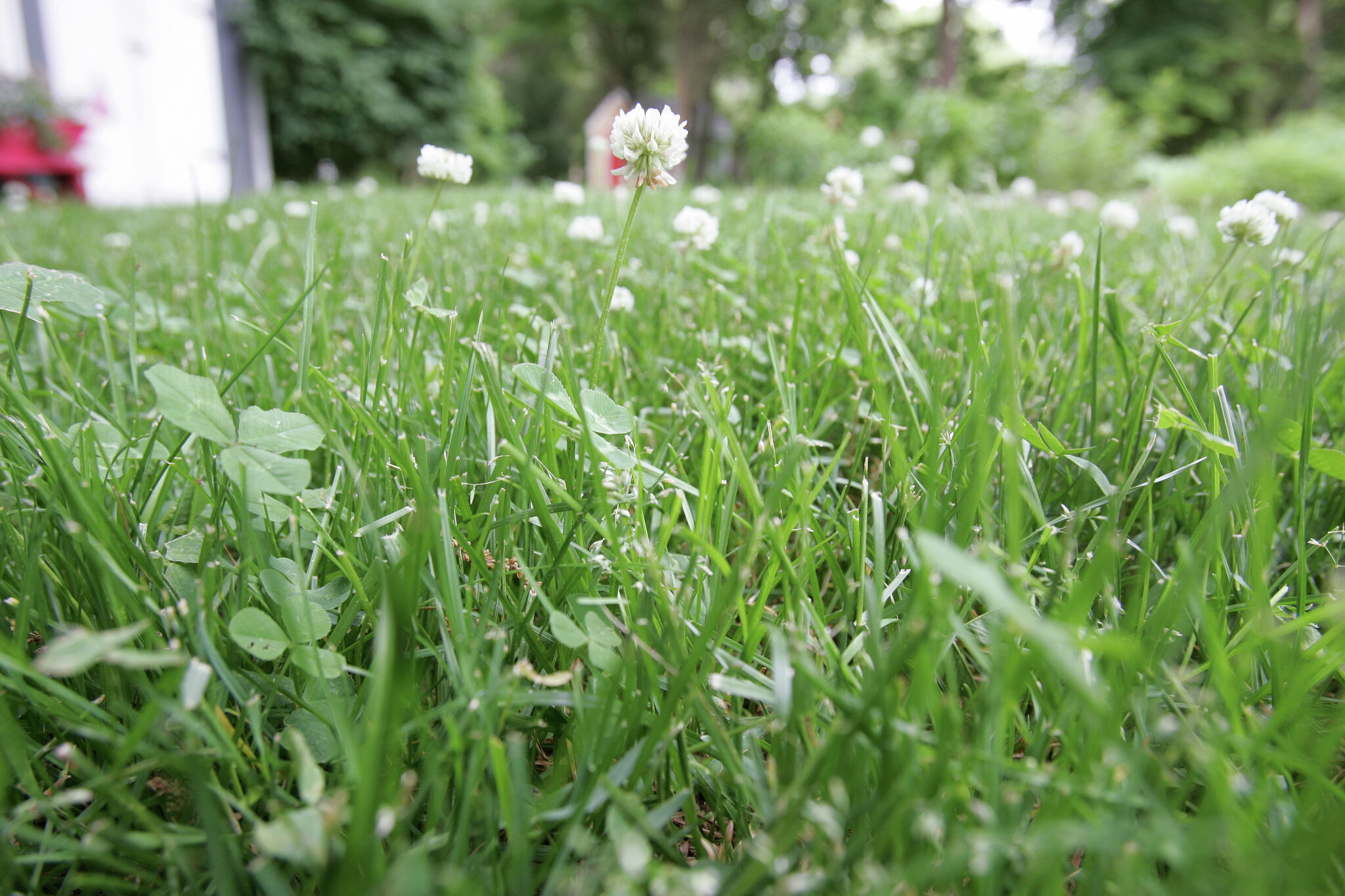 University of Wisconsin system regents set to meet behind closed doors ...