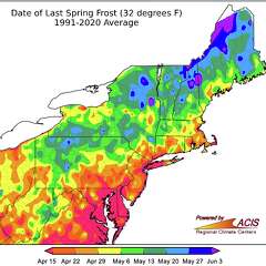 When is CT's final frost of spring? Don't let warm days fool you