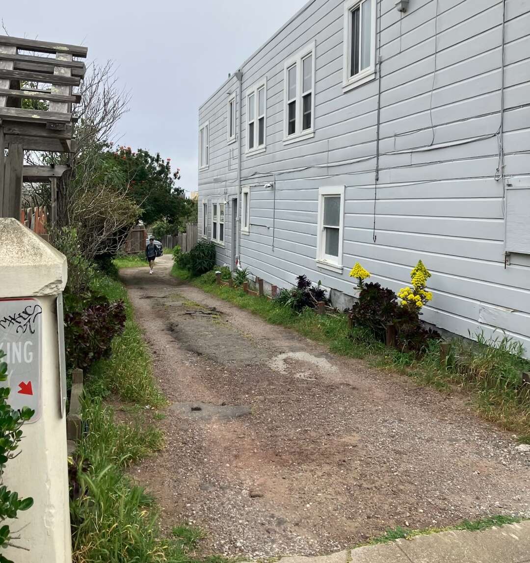 They bought an S.F. alley for $26,000 to make a community art project