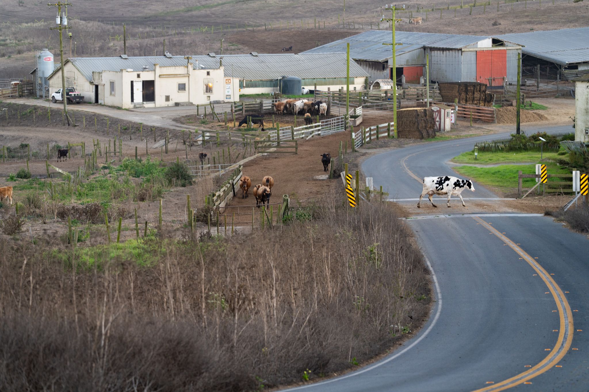 Last days on Point Reyes: Ranching families to depart after 167 years