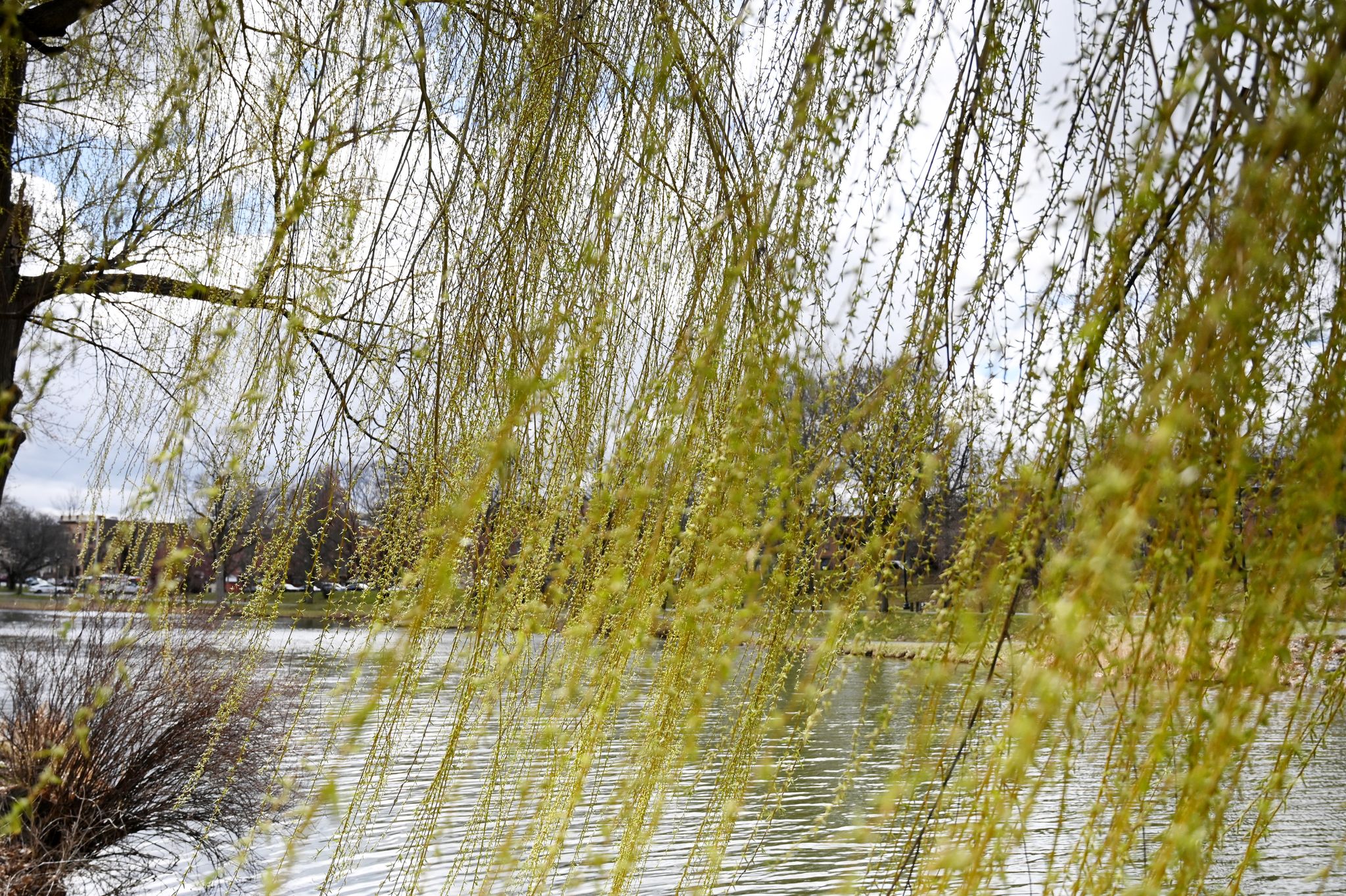 Whiteface Mountain bike track faces uproar before World Cup