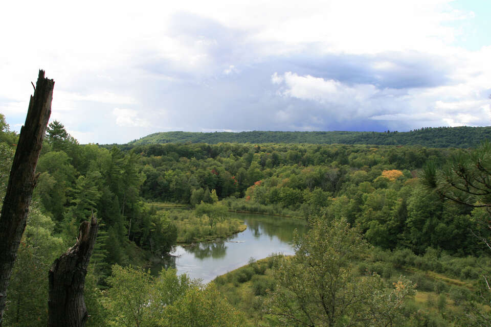 Michigan firewood permits open for state forests