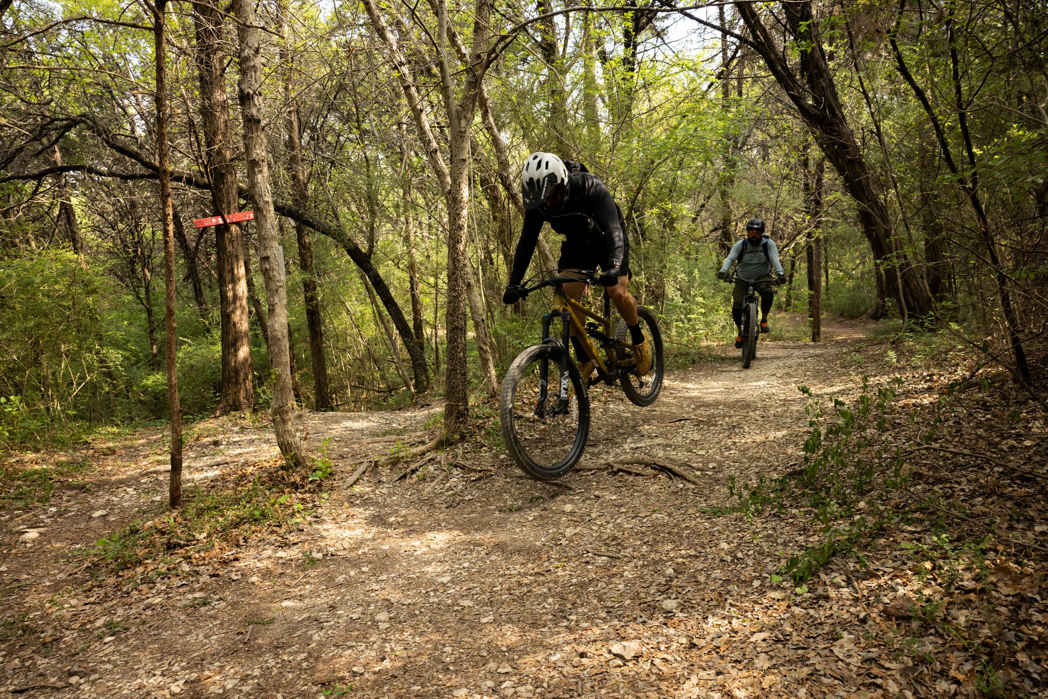 Make the Most of Your Subscription