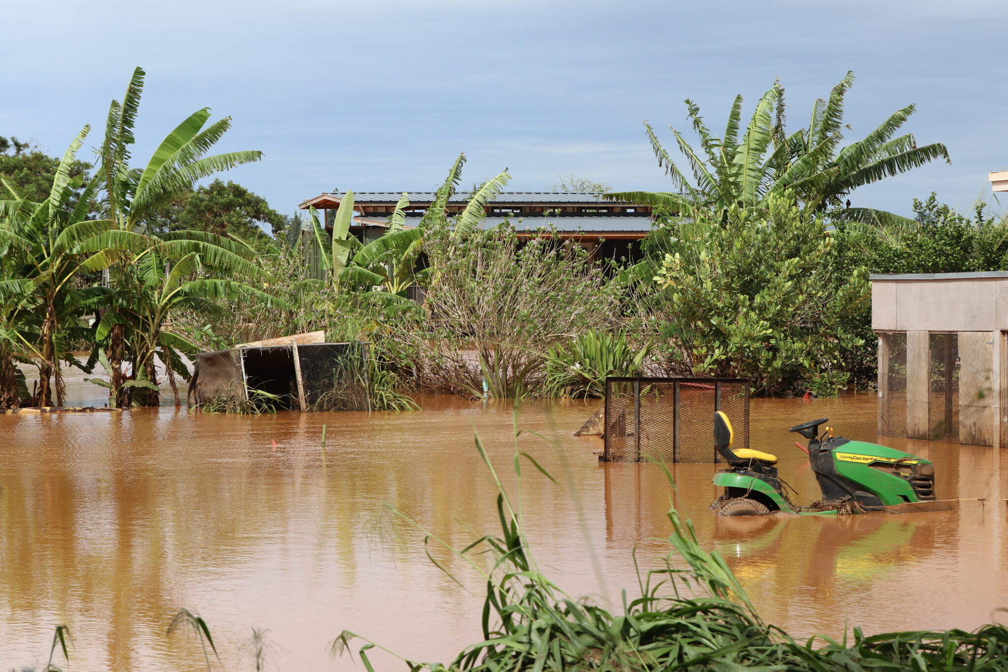 Toxic Mud? Hawaii's North Shore Flooding Likely Diluted Pesticide Risk