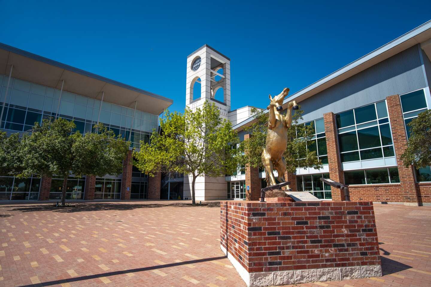 Laredo College Open House returns to inform potential future students
