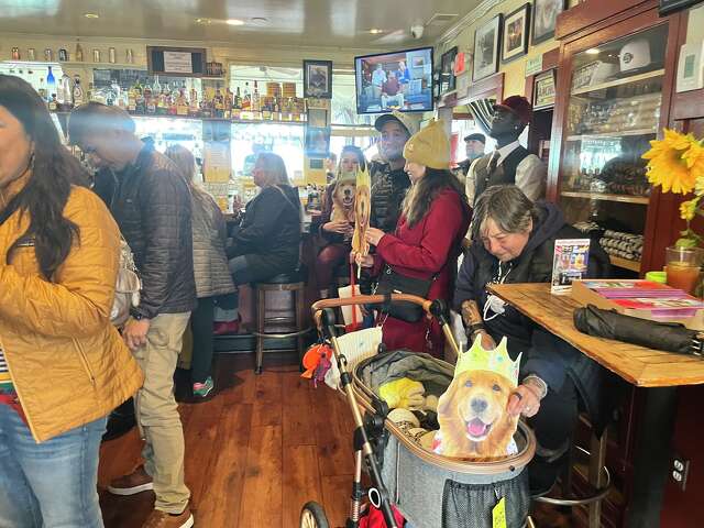 ‘He was one of a kind’: SF therapy dog remembered at farewell bash