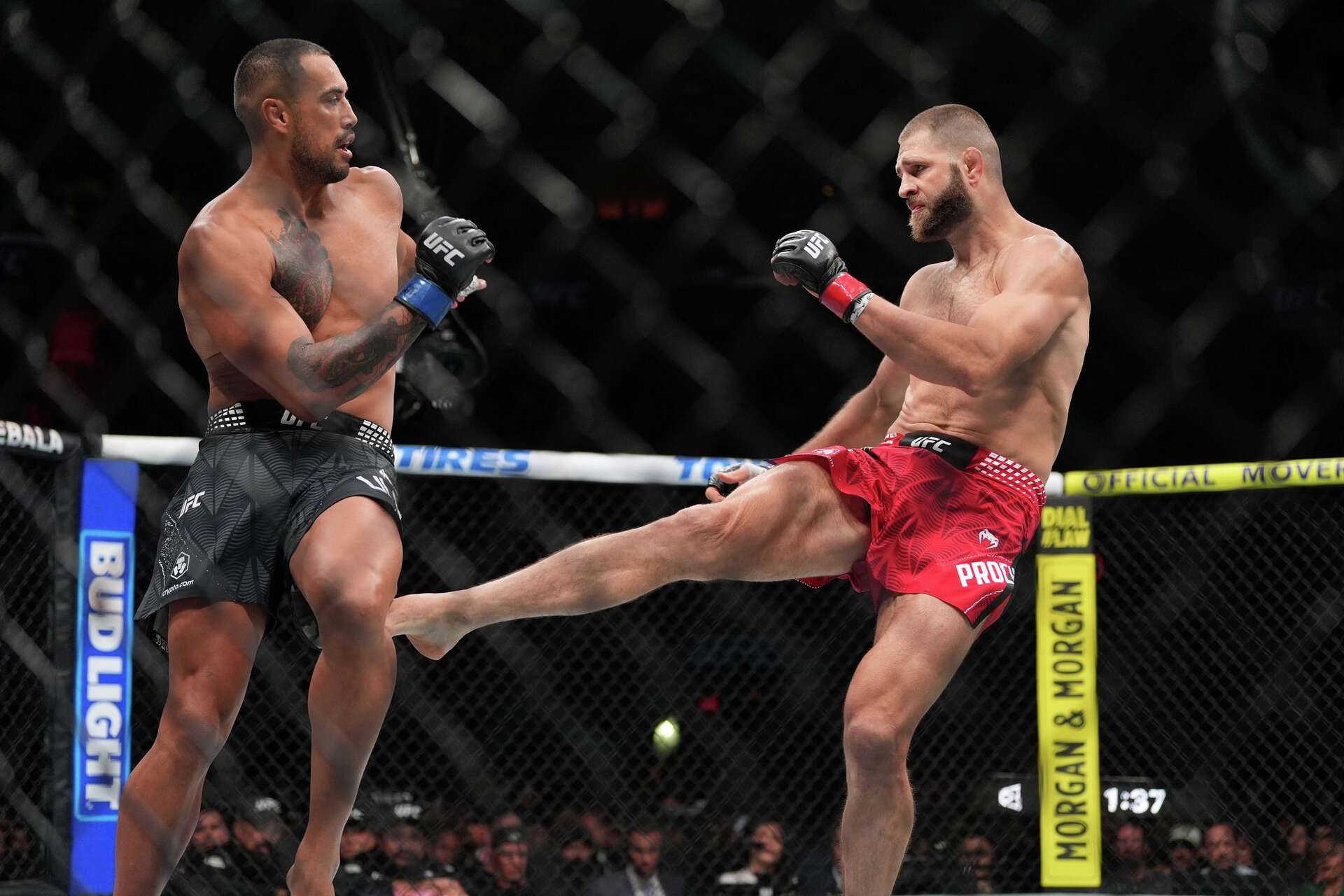 Ulberg delivers first-round KO to win light heavyweight belt as Trump ...