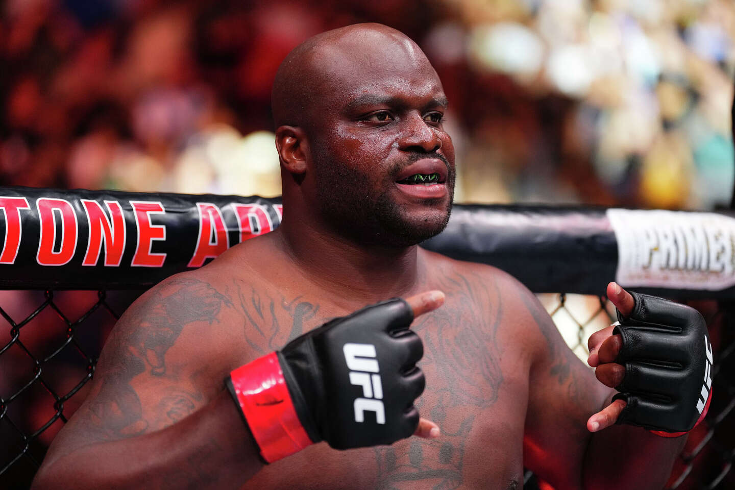 Why do President Donald Trump and UFC's Derrick Lewis like each other?