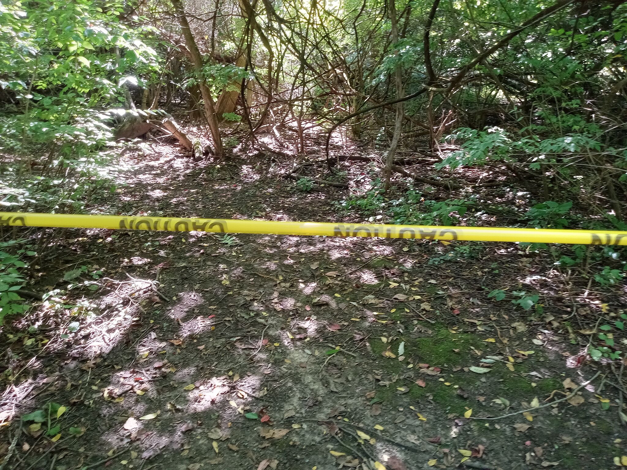 New details emerge in San Antonio death of woman found on fire