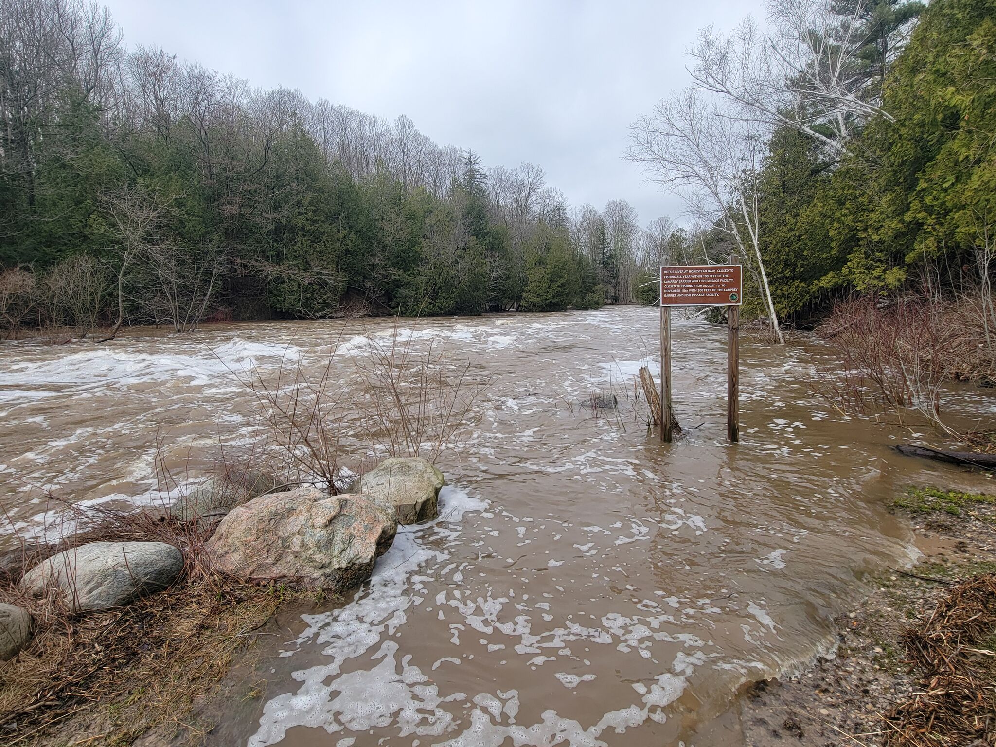 Rays move right-hander Ryan Pepiot to 60-day IL for more recovery time ...