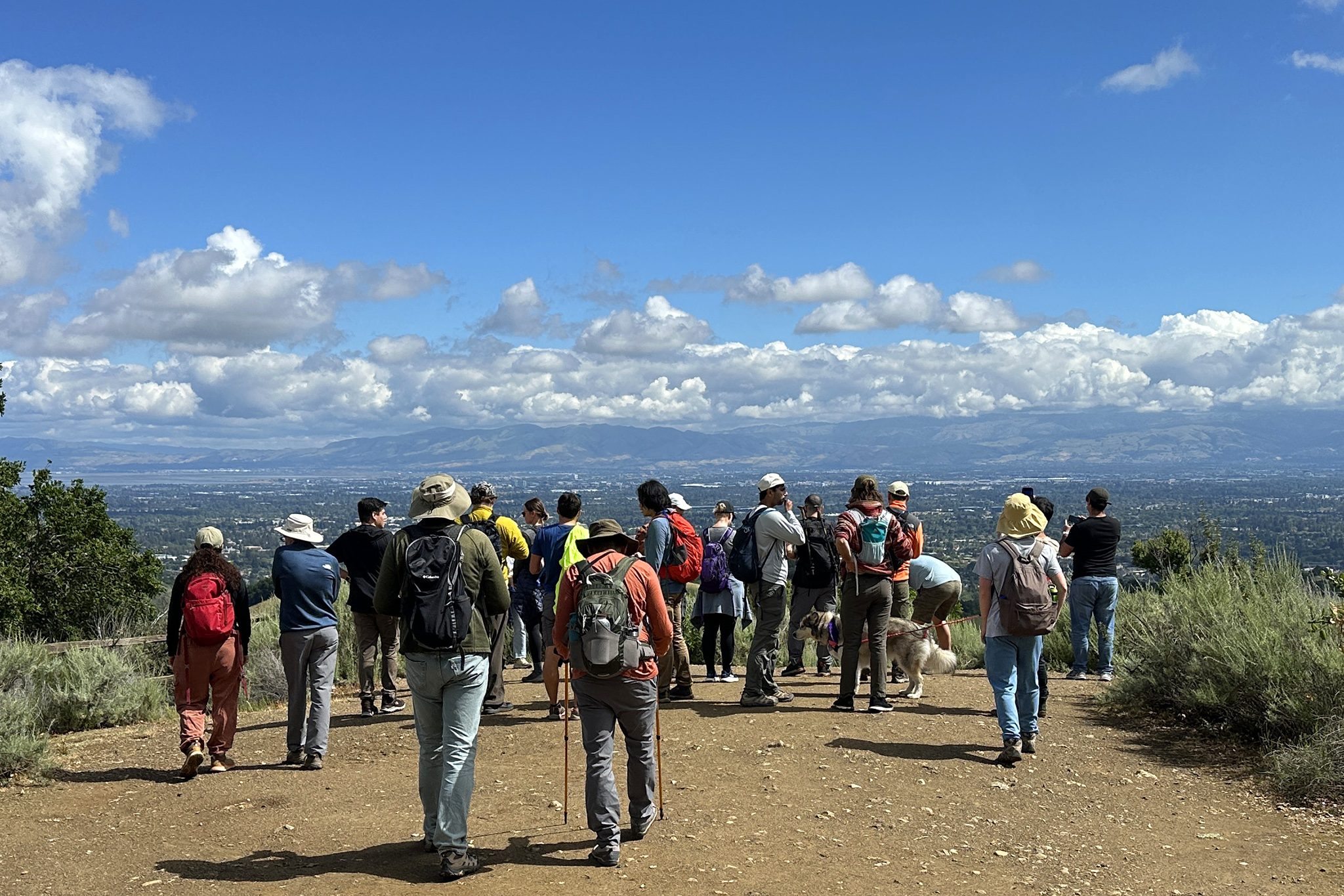 They were laid off. Now this Bay Area club hikes every Monday.
