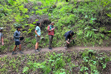 They were laid off. Now this Bay Area club hikes every Monday.