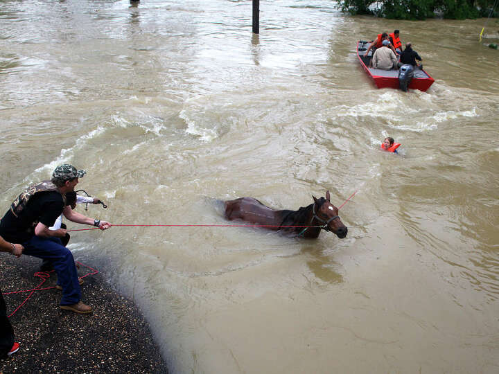 Tax Day flood Houston 2016: a personal story 10 years later