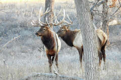 One of the largest ranch sales in years shakes the Panhandle