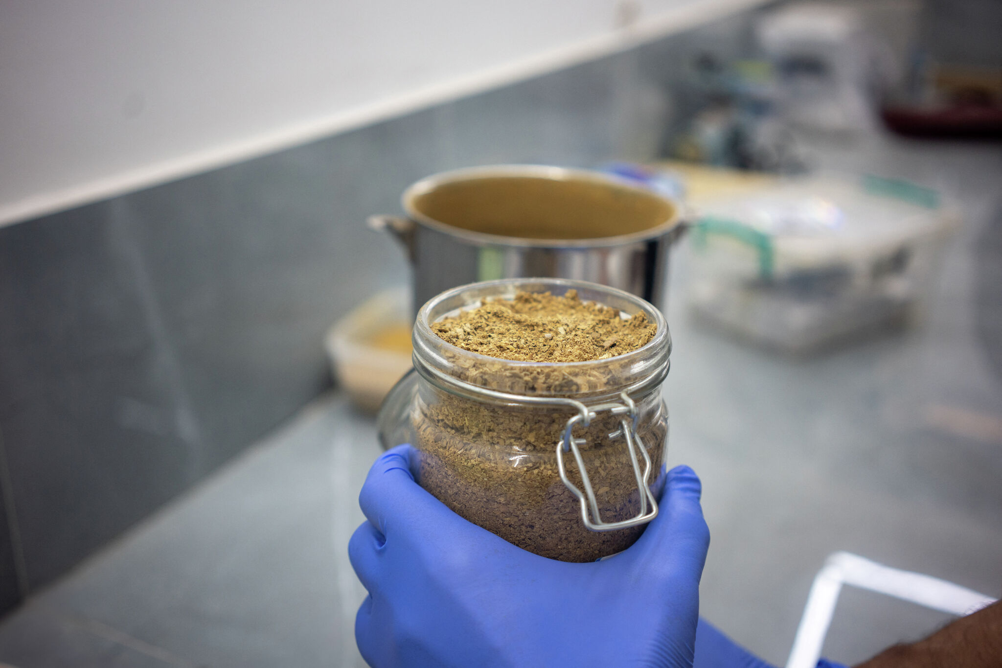 Here's what to know about they psychedelic drug called ibogaine