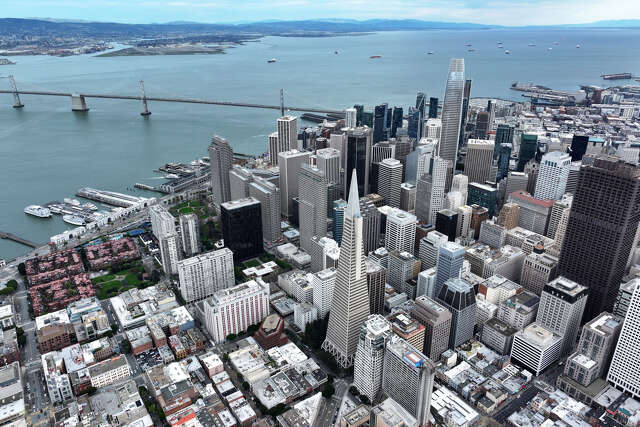 SF is getting ravaged by multiple viruses. Experts aren't sure why.