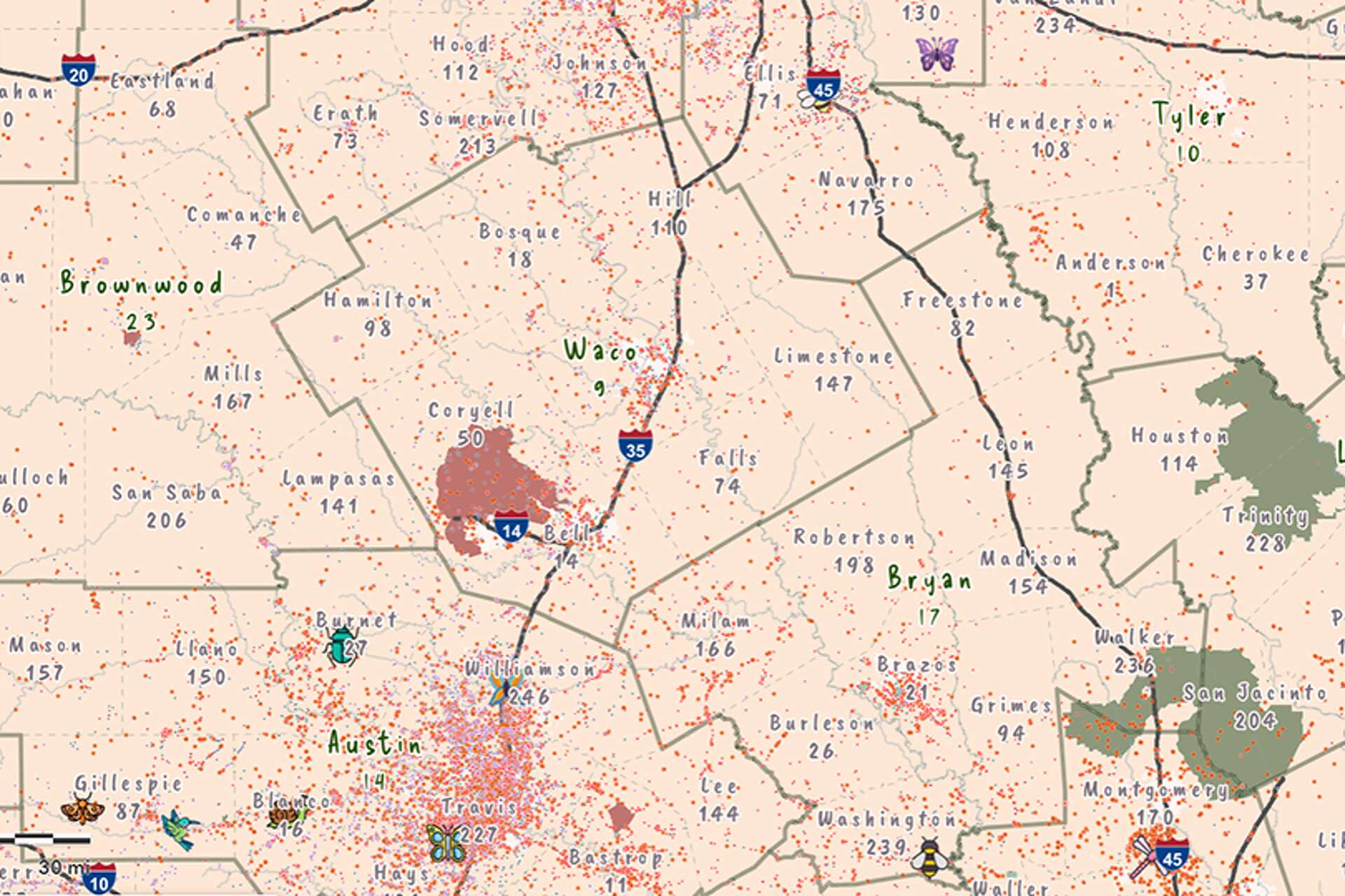 Texas just made it way easier to find bluebonnets this spring