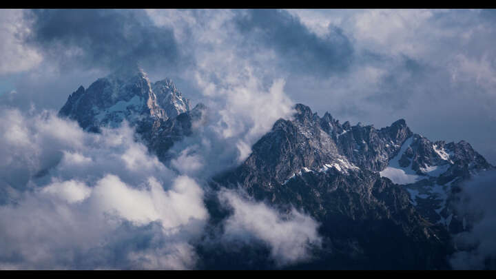 CT nature filmmaker has worked with Bill Nye, Maggie Rogers