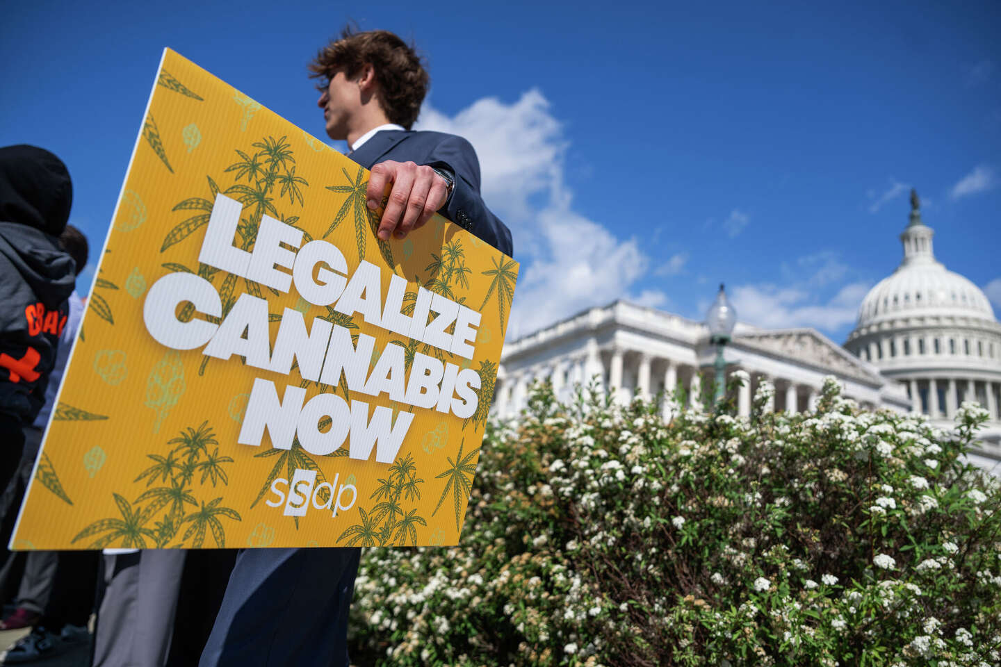Marijuana reclassification 2026: What Trump plan means for cannabis la