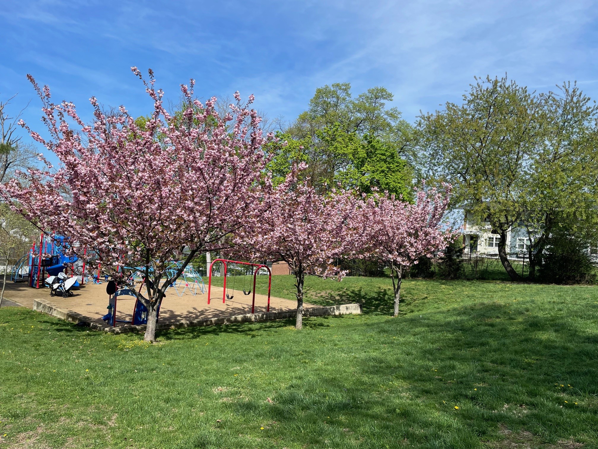 Small park in Stamford's East Side to be re-zoned as parkland