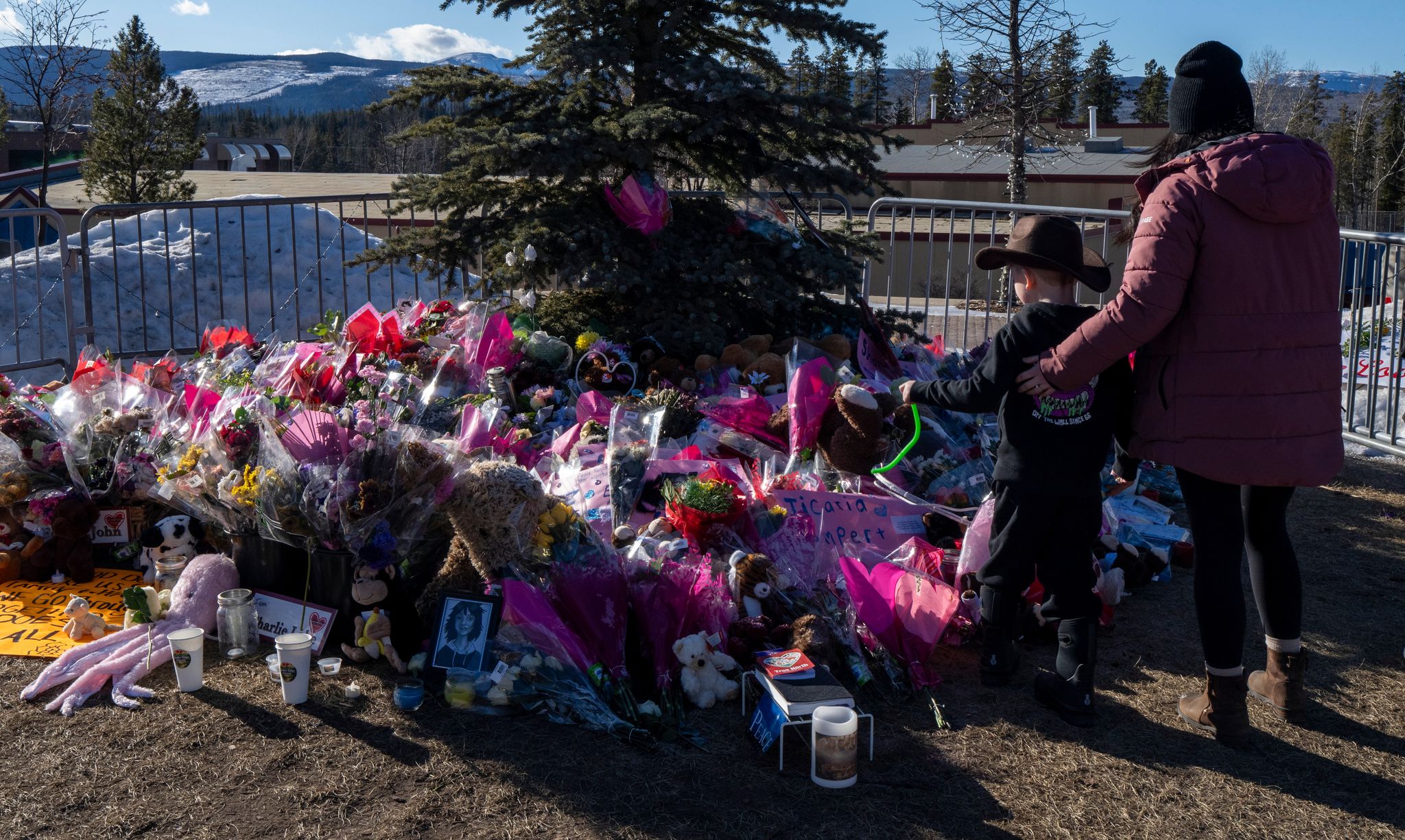Families of Canada school shooting victims sue OpenAI over shooter's ...