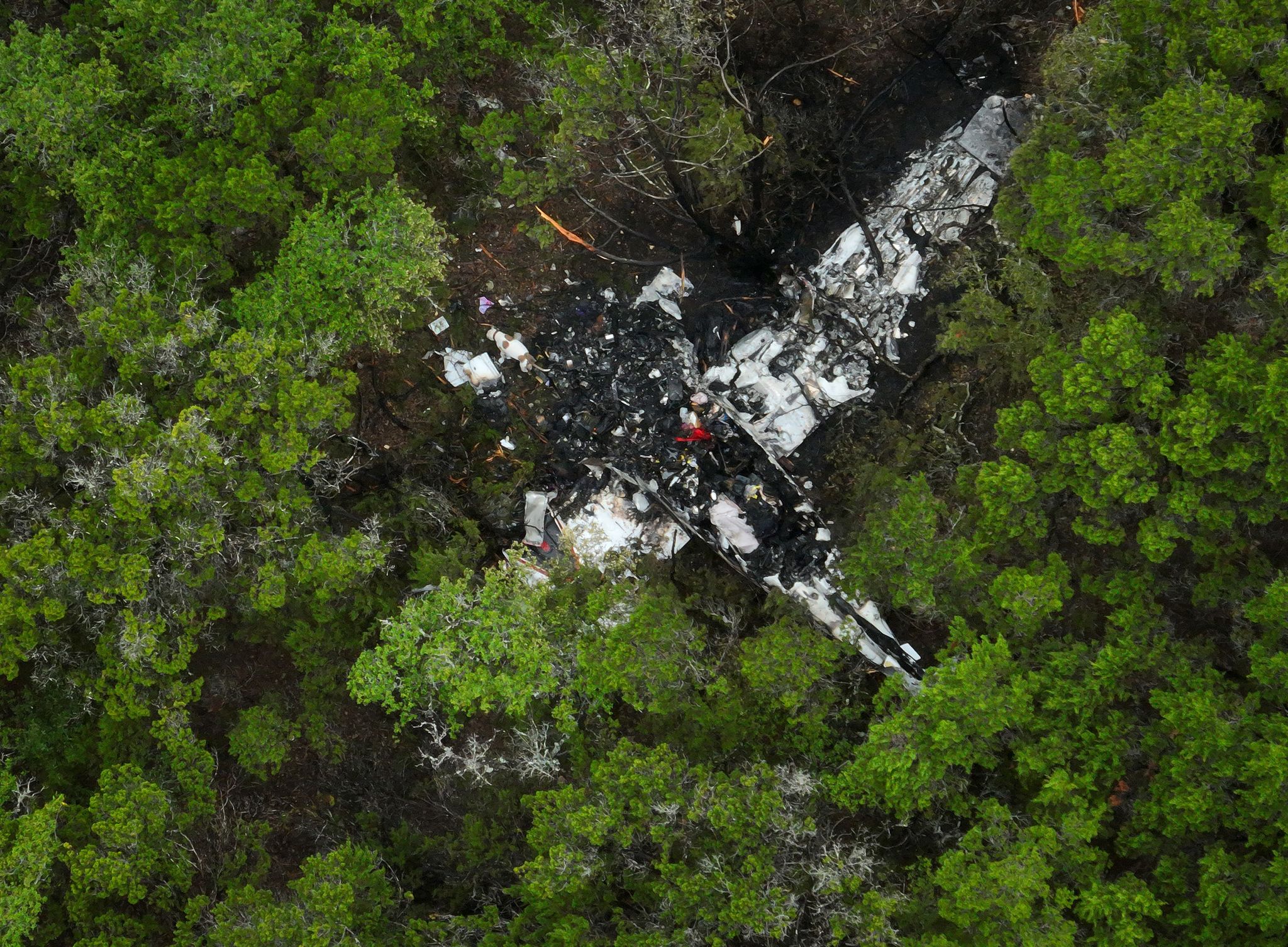 A small plane has crashed in Texas Hill Country, killing all 5 on board ...