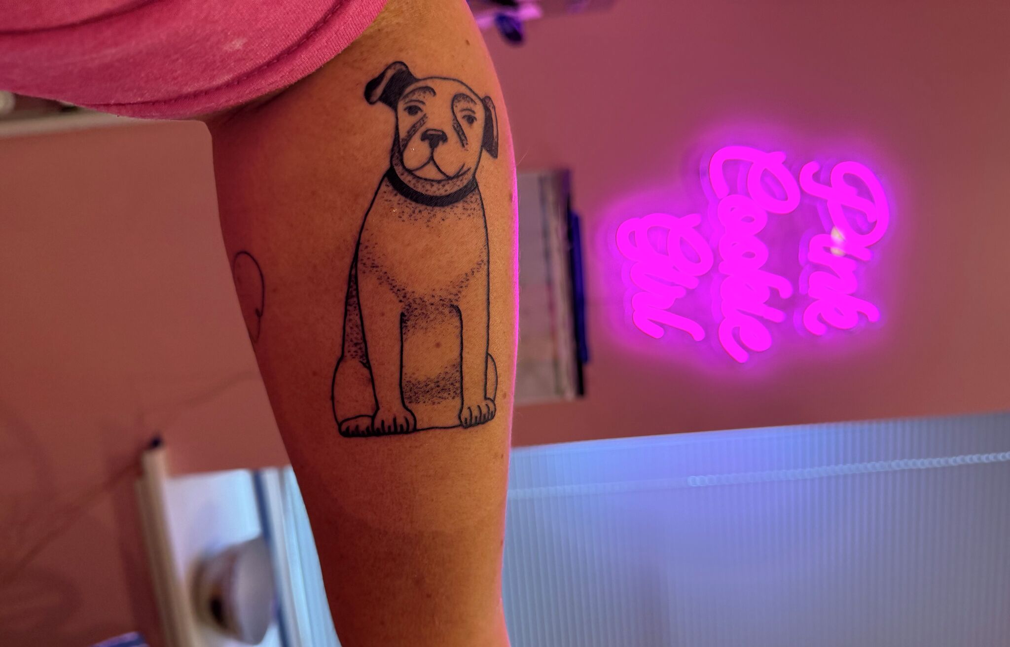 Albany tattoos celebrate Nipper, The Egg and local icons