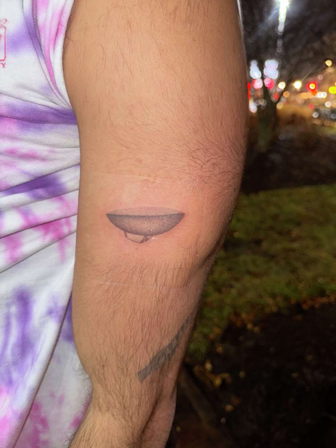 Albany tattoos celebrate Nipper, The Egg and local icons