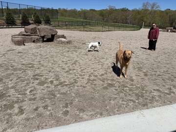Stamford opens new dog park at Scofieldtown Park