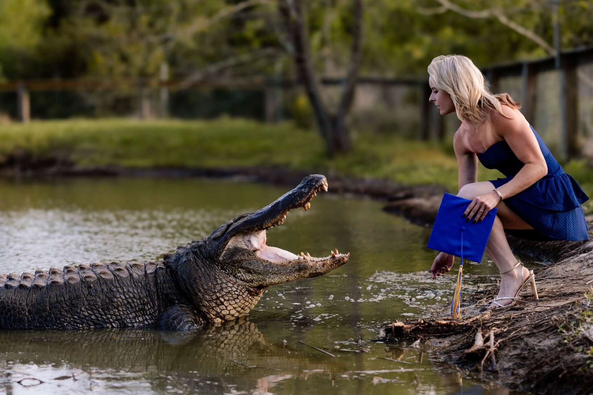 Gator Country staffer's grad photos show kiss with giant alligator