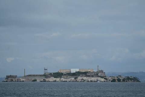 Male coyote swam 2 miles to Alcatraz Island, twice as far as biologists ...