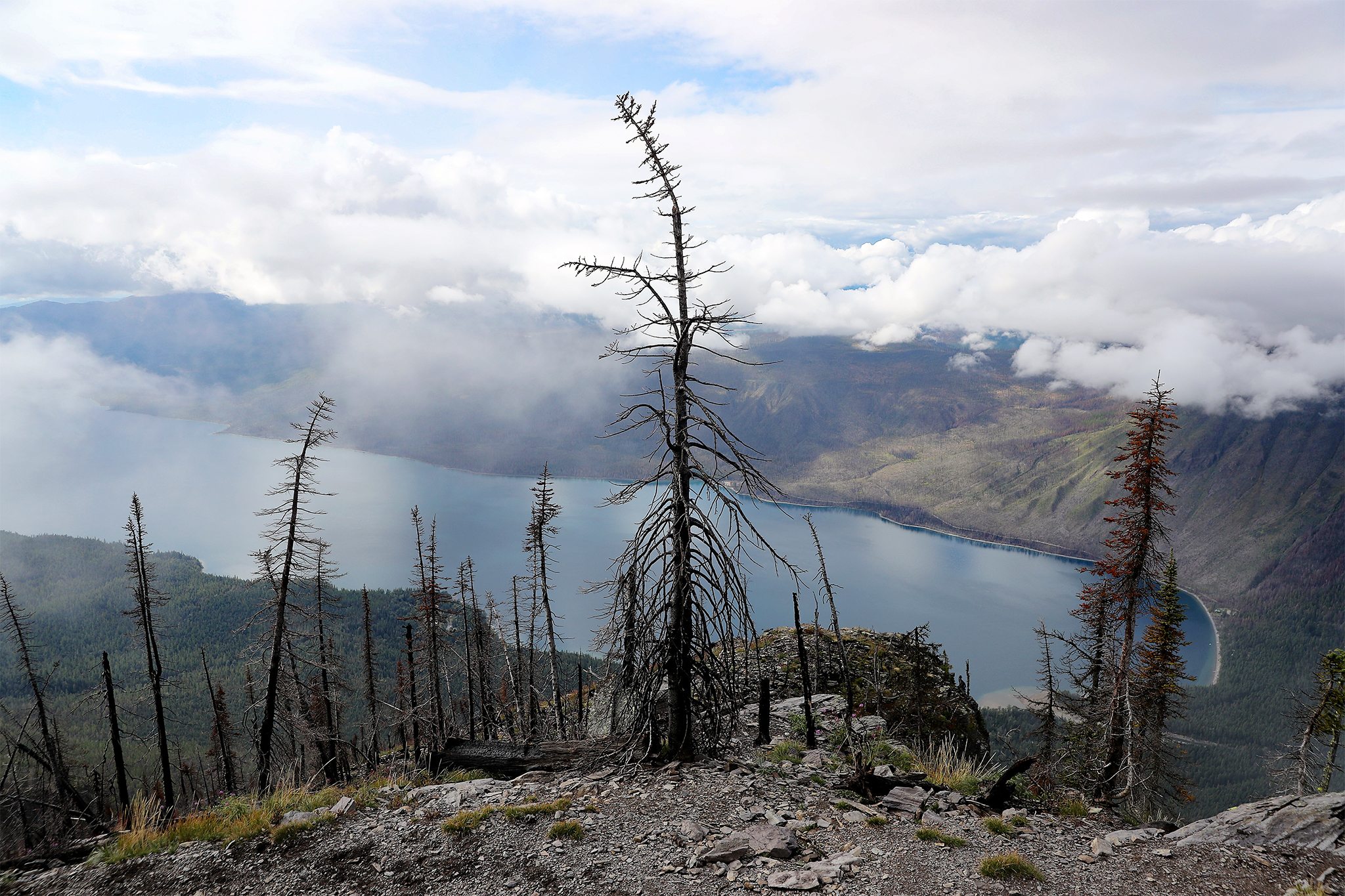 Rangers search for missing hiker in Glacier National Park