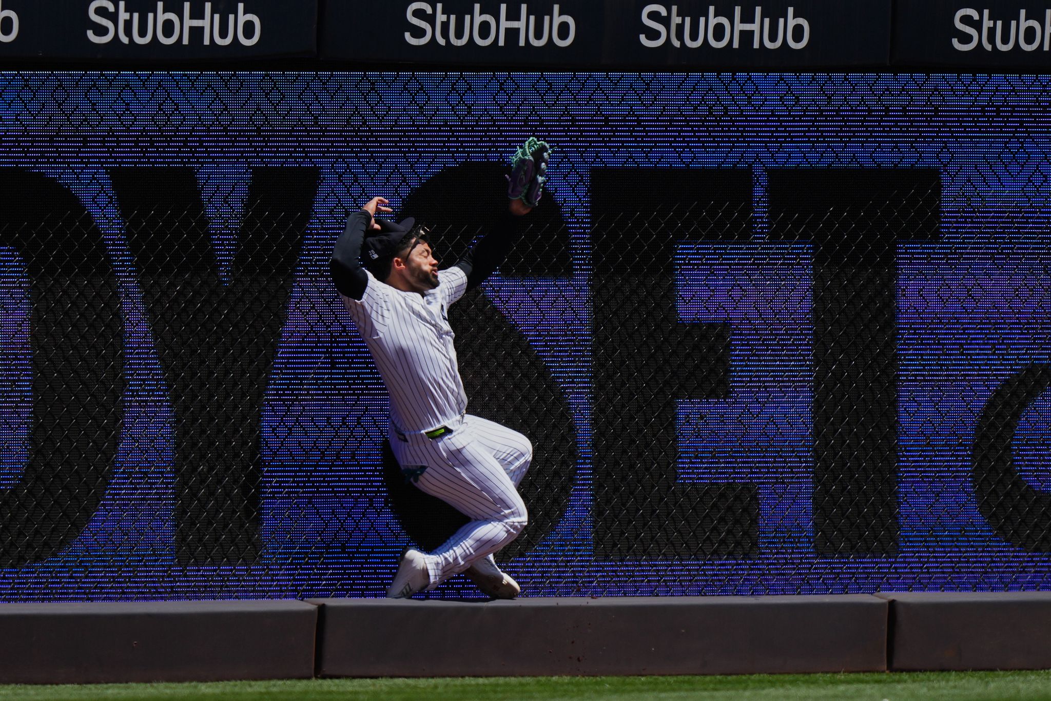 Yankees' Jasson Domínguez sprains shoulder crashing into wall, leading ...