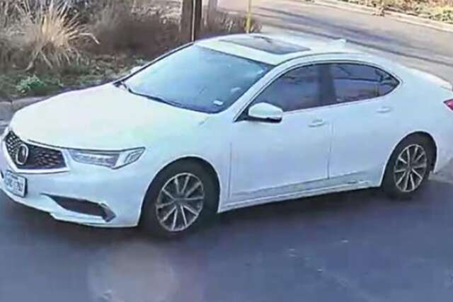 Austin police seek suspect in South Austin hit-and-run that killed cat