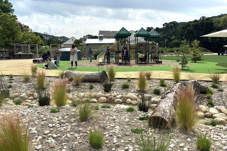 The giant cinnamon roll drawing hundreds to a Bay Area farm