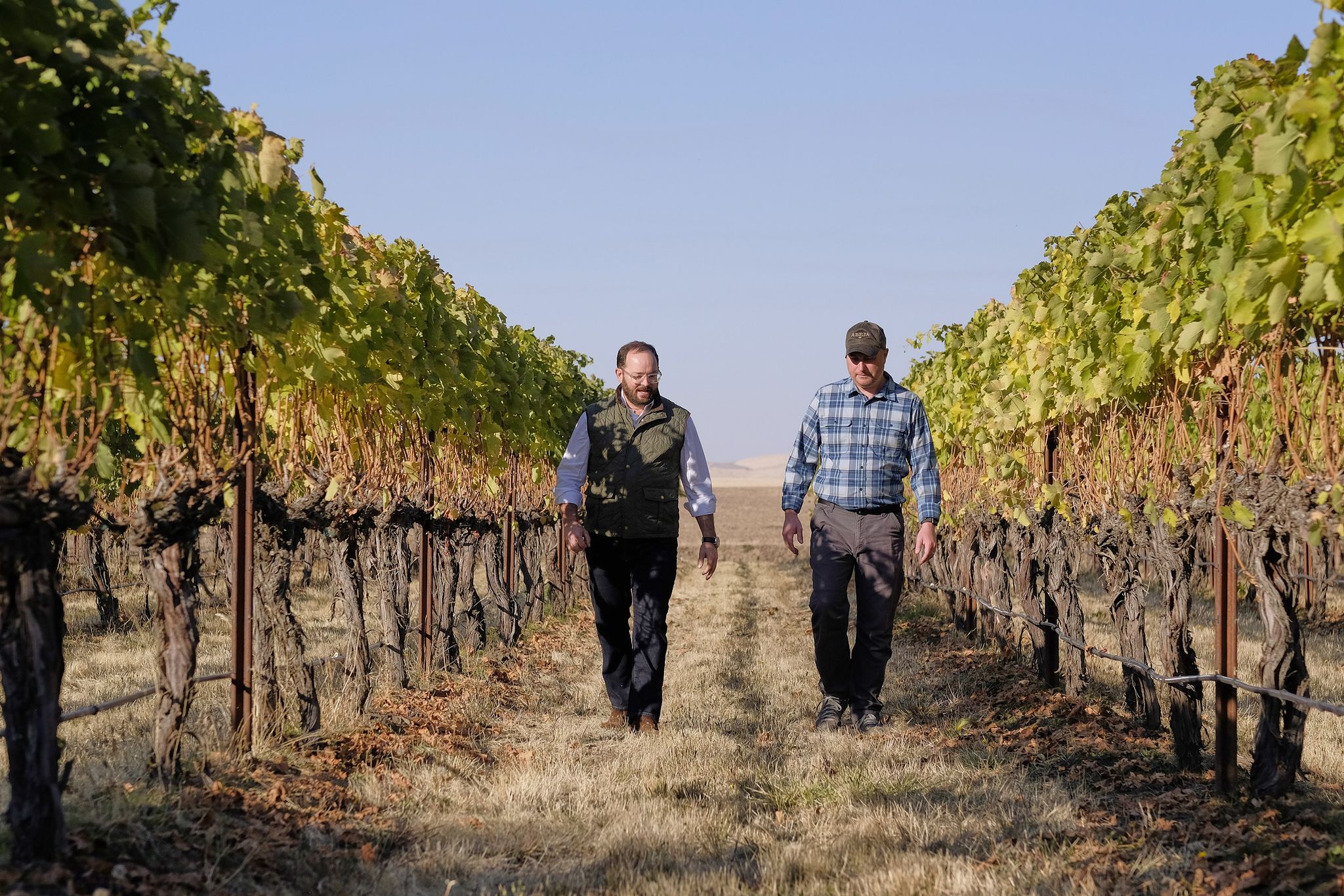 Regional: Glass Half Full: Newer Wine Regions Hit Hardest By Declining ...