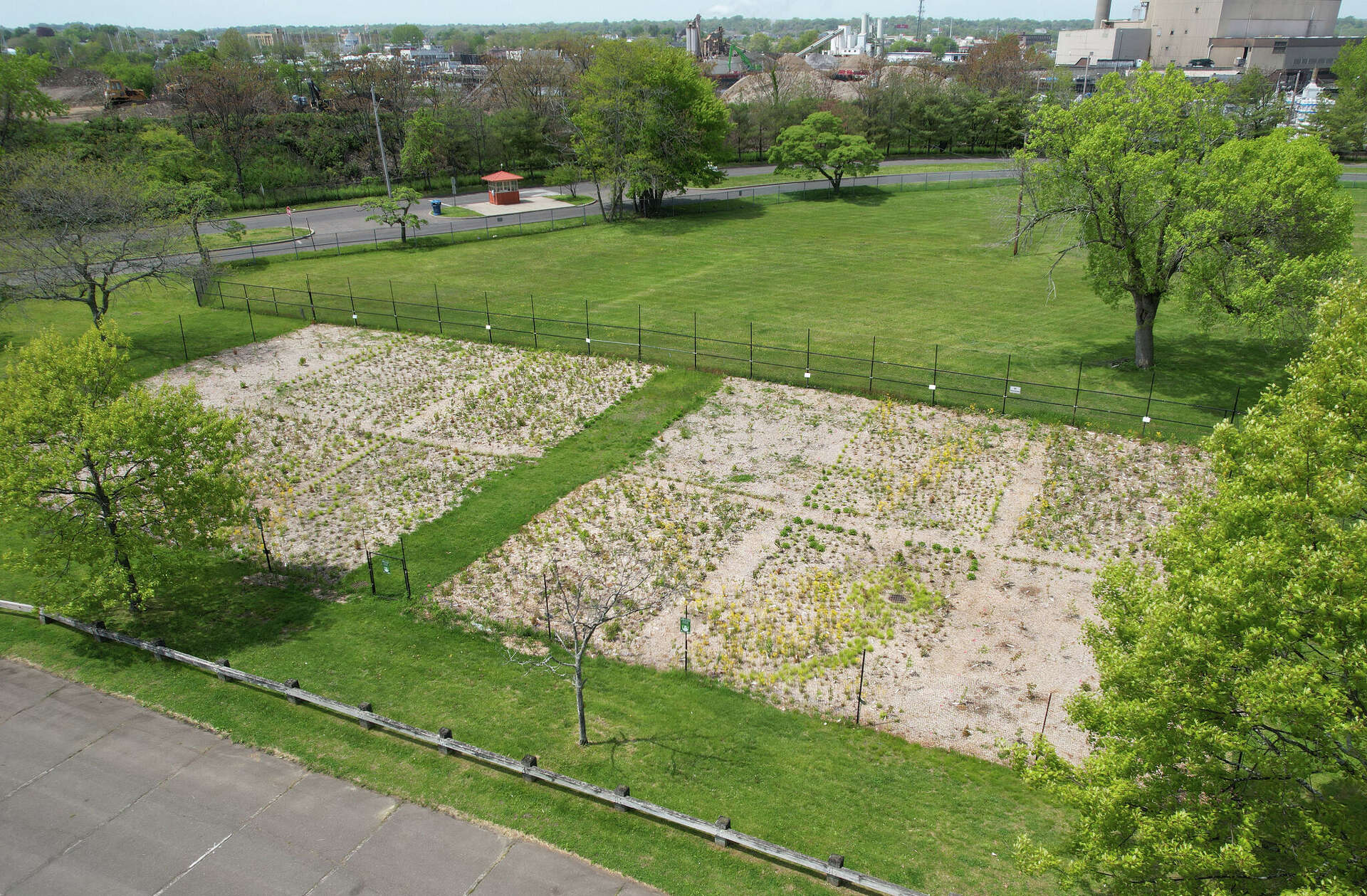 The Northeast’s largest Miyawaki forest takes root in Bridgeport