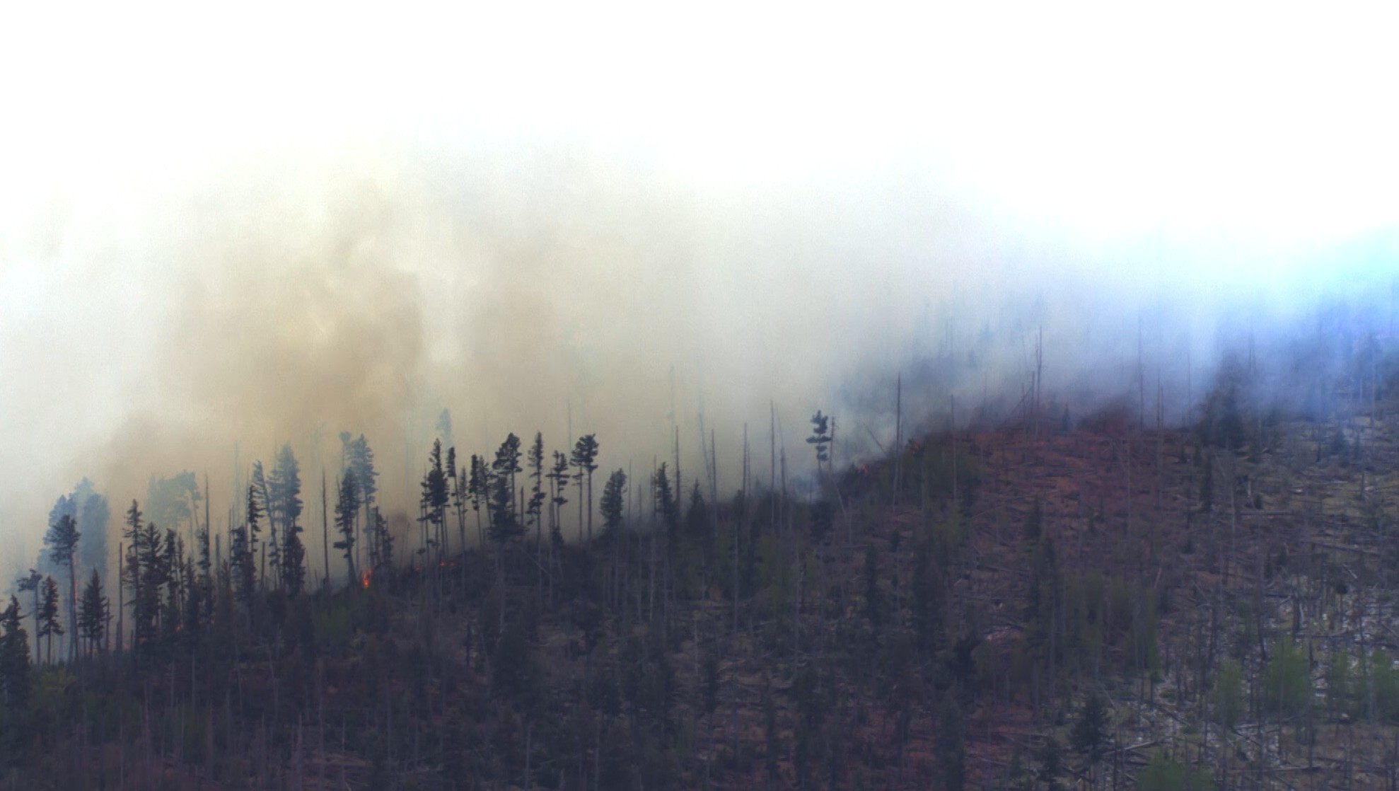 New Mexico wildfire sparked by fatal medical plane crash spreads ...