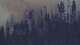 Small medical plane crashes in New Mexico mountains, killing all 4 ...