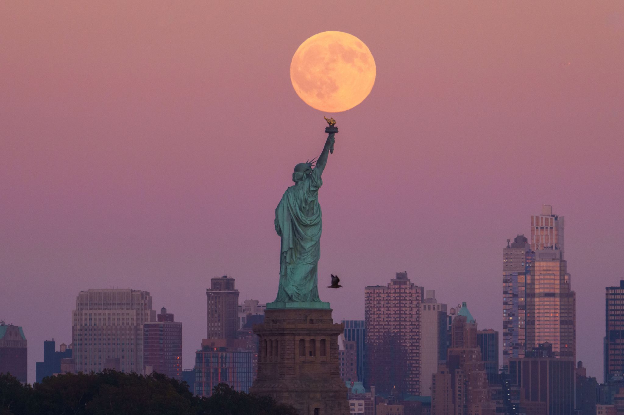 New York will host 8 World Cup games, including the final, in New ...