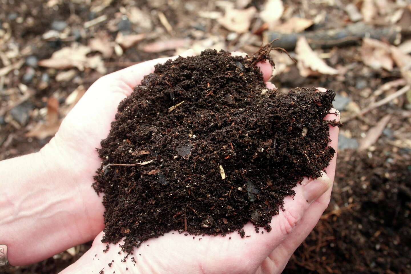 How to mulch your garden beds without harming plants