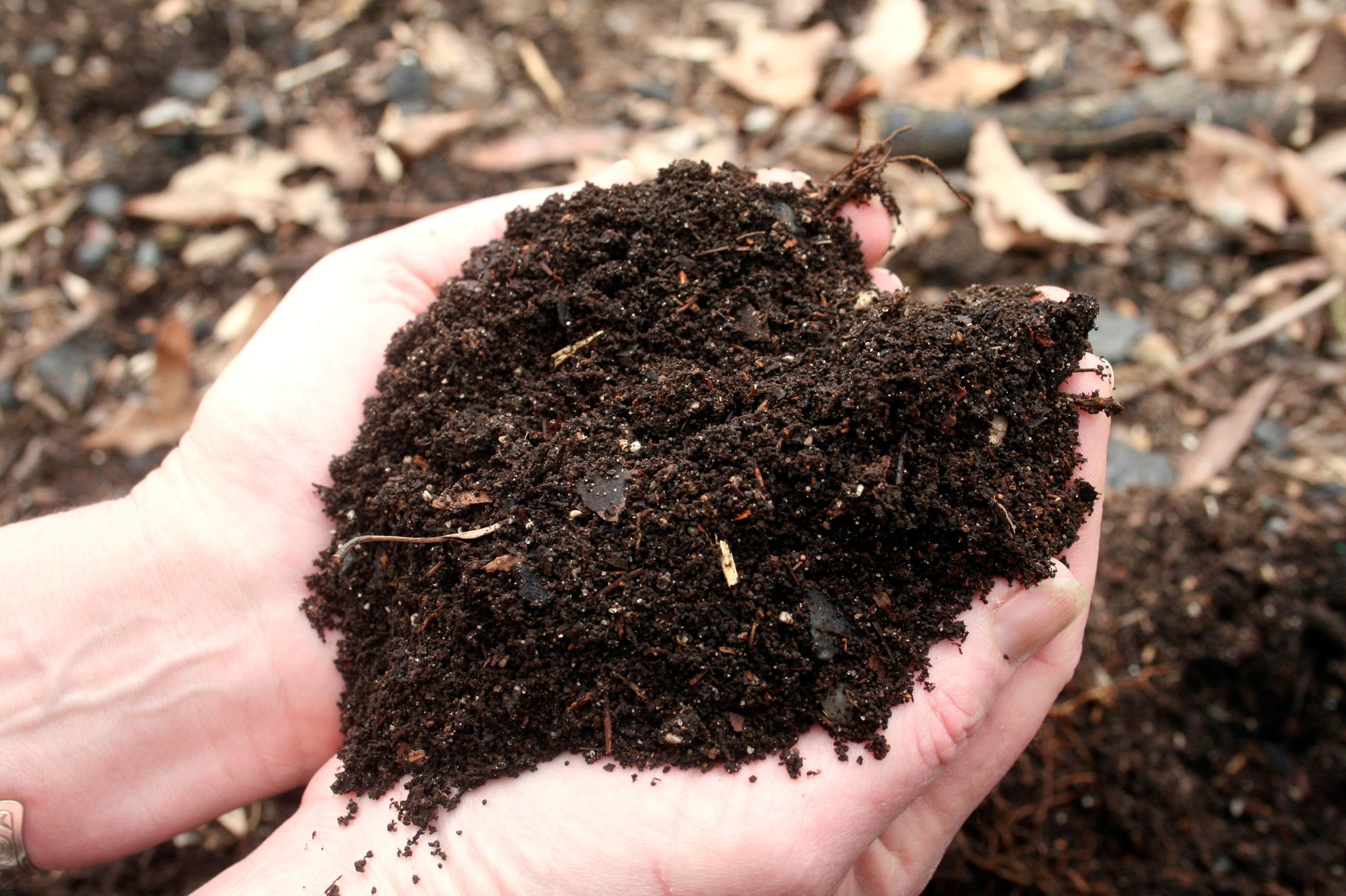 Gardeners often hear about supposed hacks and quick fixes. Here are ...