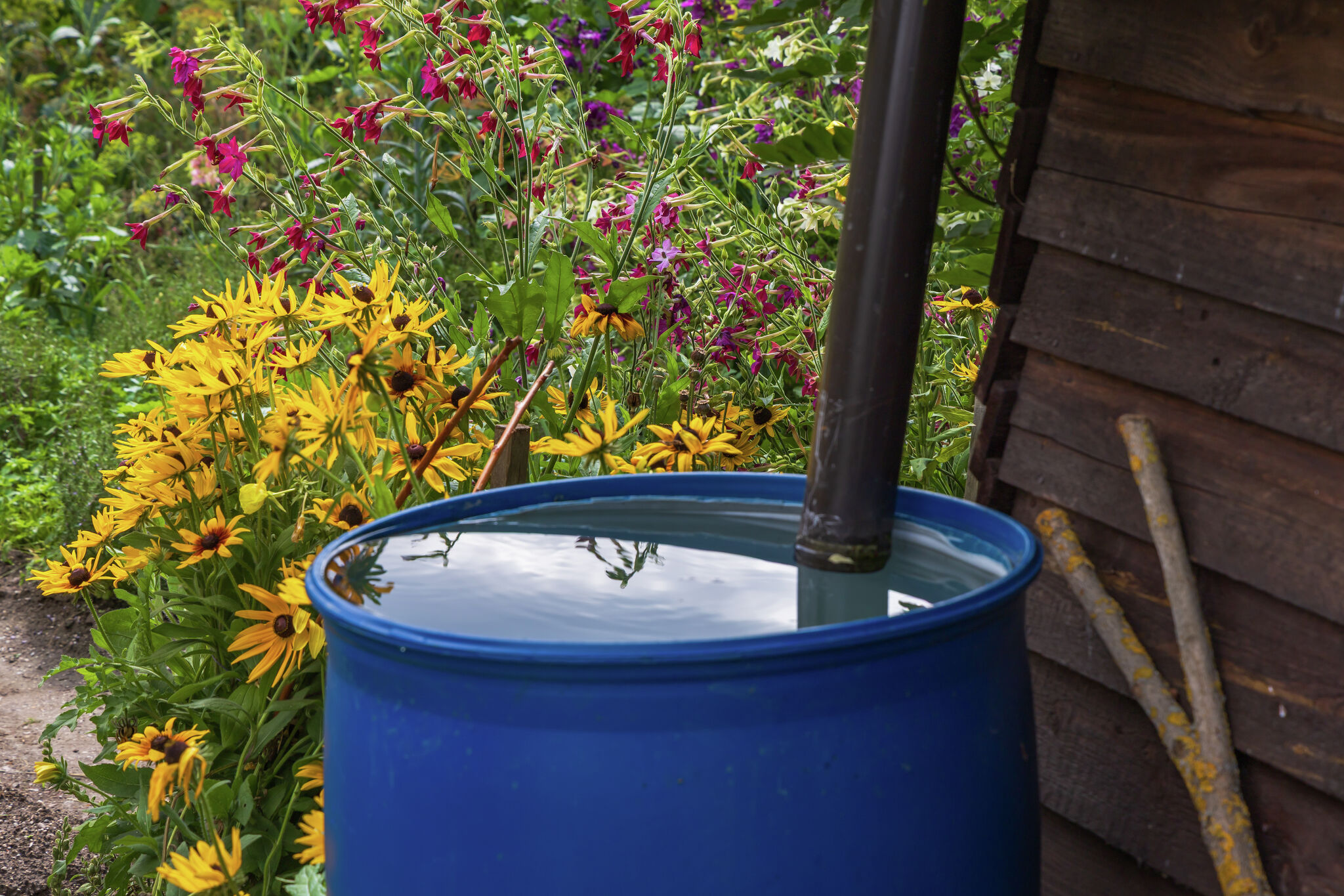 Is it illegal to collect rainwater in Texas?