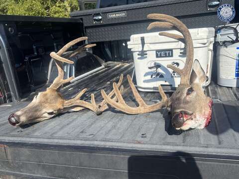 Texas game wardens tie New Braunfels man to grisly deer killings